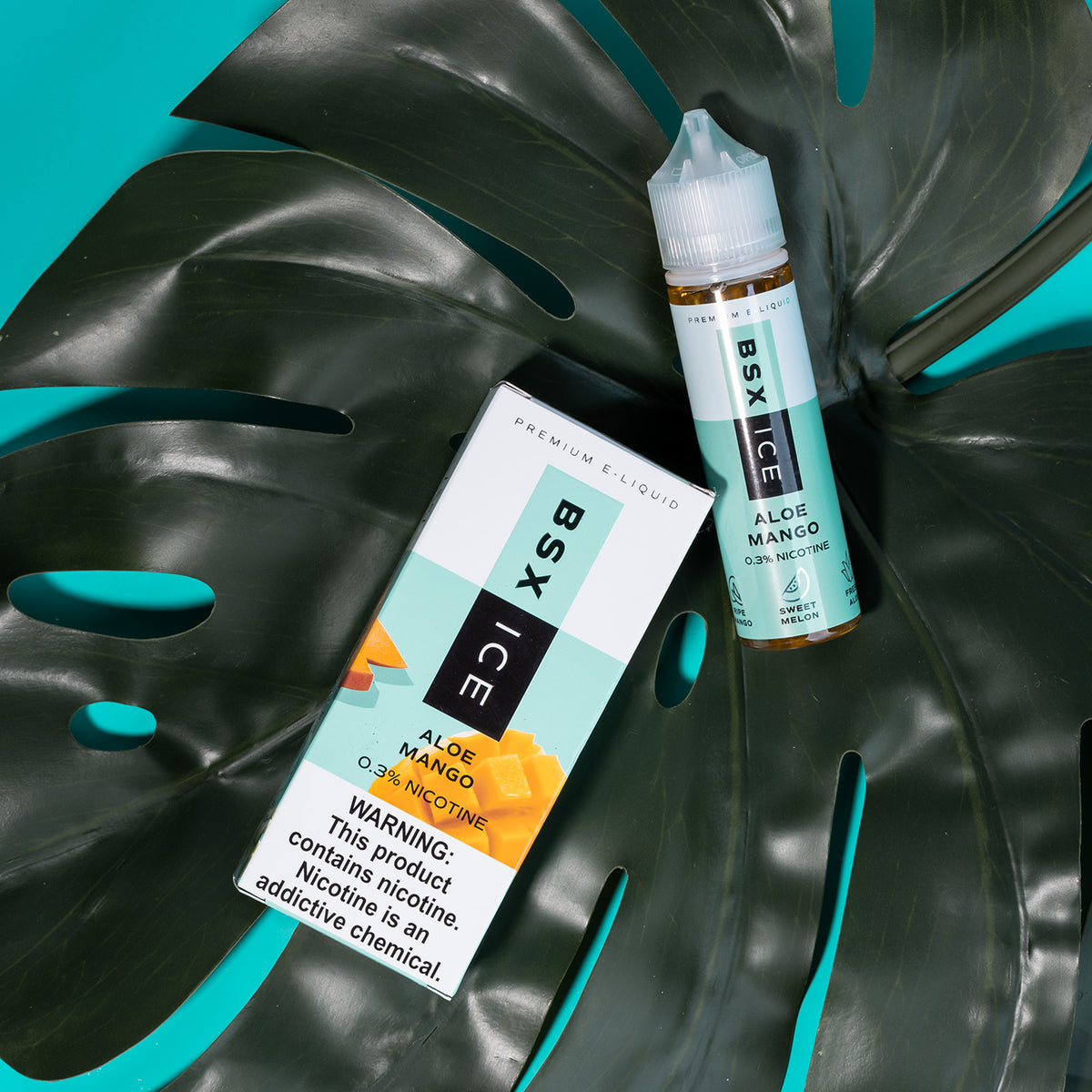 Aloe Mango Vape Juice - Premium Ice Flavor | BSX Vapor
